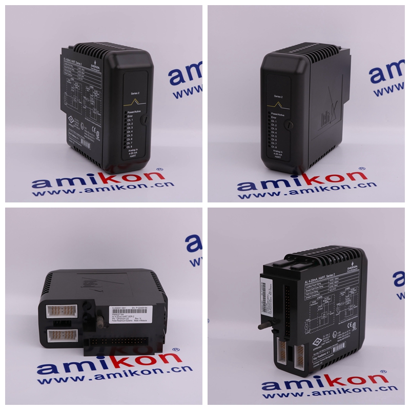 CA-RTVP11 Emerson Rosemount Replacement RS3 Virtual Printer (CA-RTVP11)