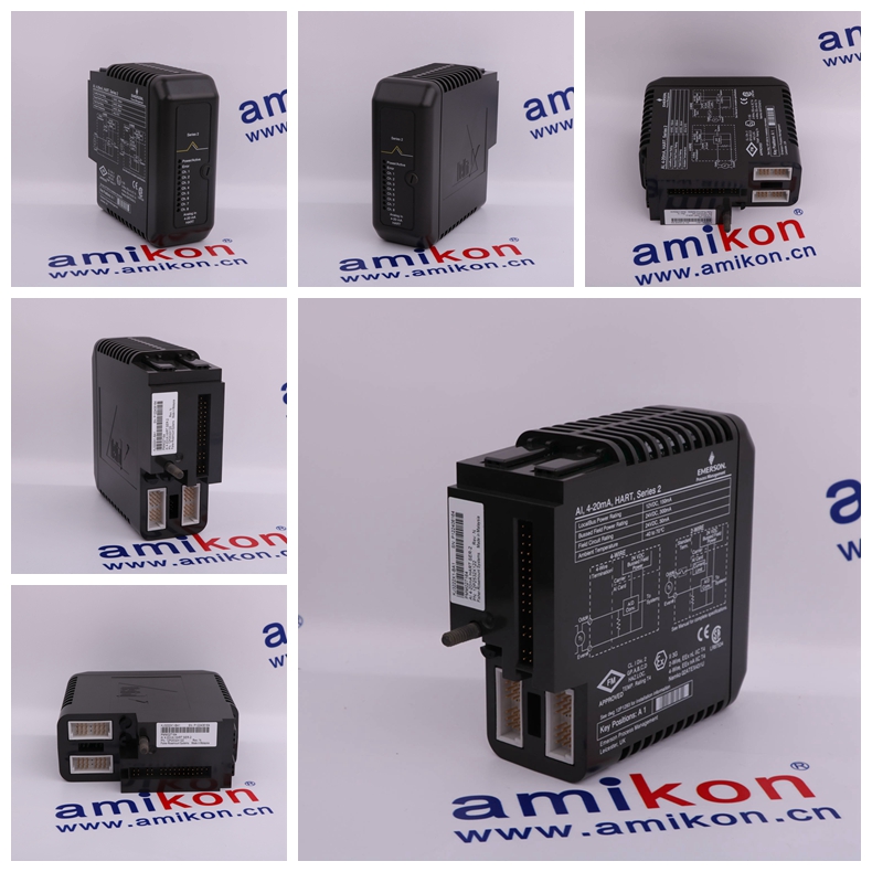 EMERSON DeltaV VE4012S2B1