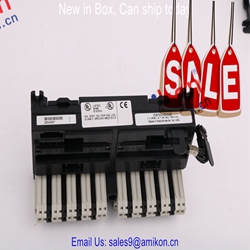DS200DMCBG2A GE FANUC